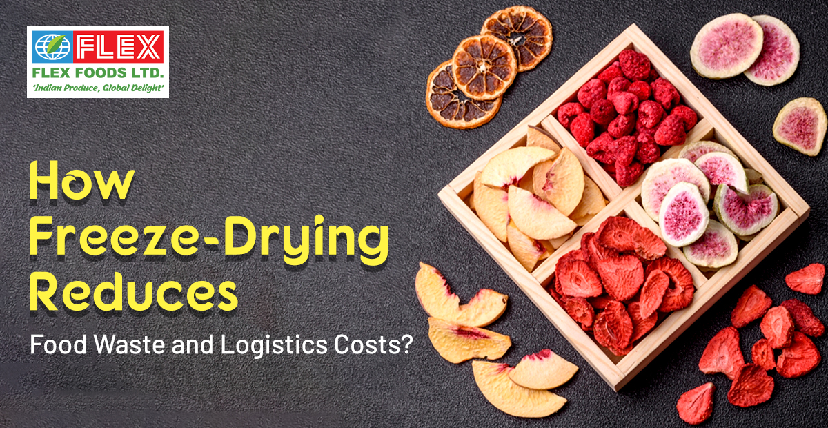 How Freeze-Drying Reduces Food Waste and Logistics Costs?